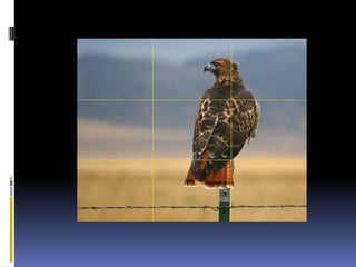 Photography - Composition. Leading lines, framing and rule of thirds ...