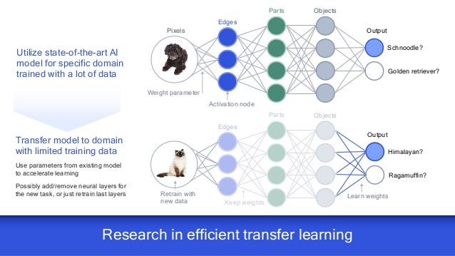 Leading Research Across the AI Spectrum