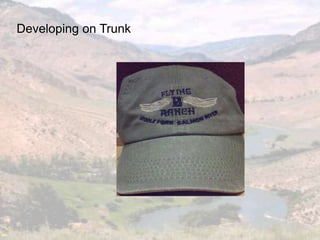 Serena DevOps Drive-in: Leading the Agile and DevOps transformation with Gary Gruver | PPTX