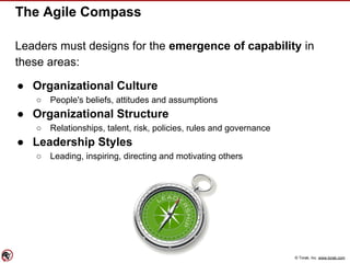 Leading the agile organization | PDF