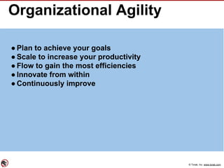 Leading the agile organization | PDF