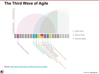 Leading the agile organization | PDF