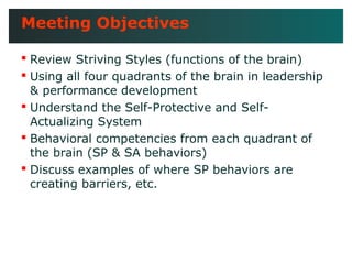 Leading Using the Whole Brain | PPT