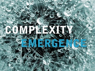 Leading Self & Personal Capacities | PDF