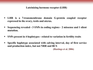 FEMALE FERTILITY MARKERS | PPT
