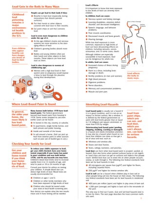 Lead paint pamphlet_-_free_epaisclosure | PDF