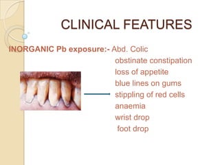 Lead Poisoning Gums