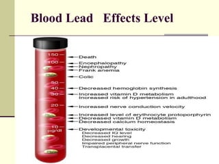 Lead Poisoning Anemia