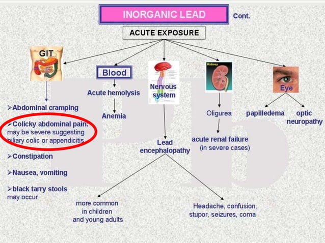 Lead poisoning | PPTX | Blood Disorders | Diseases and Conditions