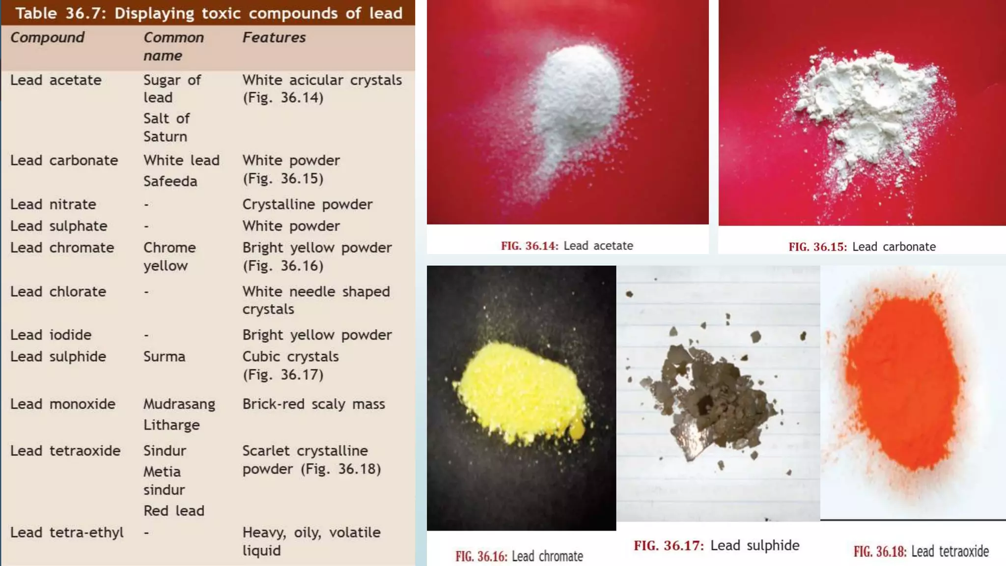 leadpoisoning-191203075145 (2).pdf