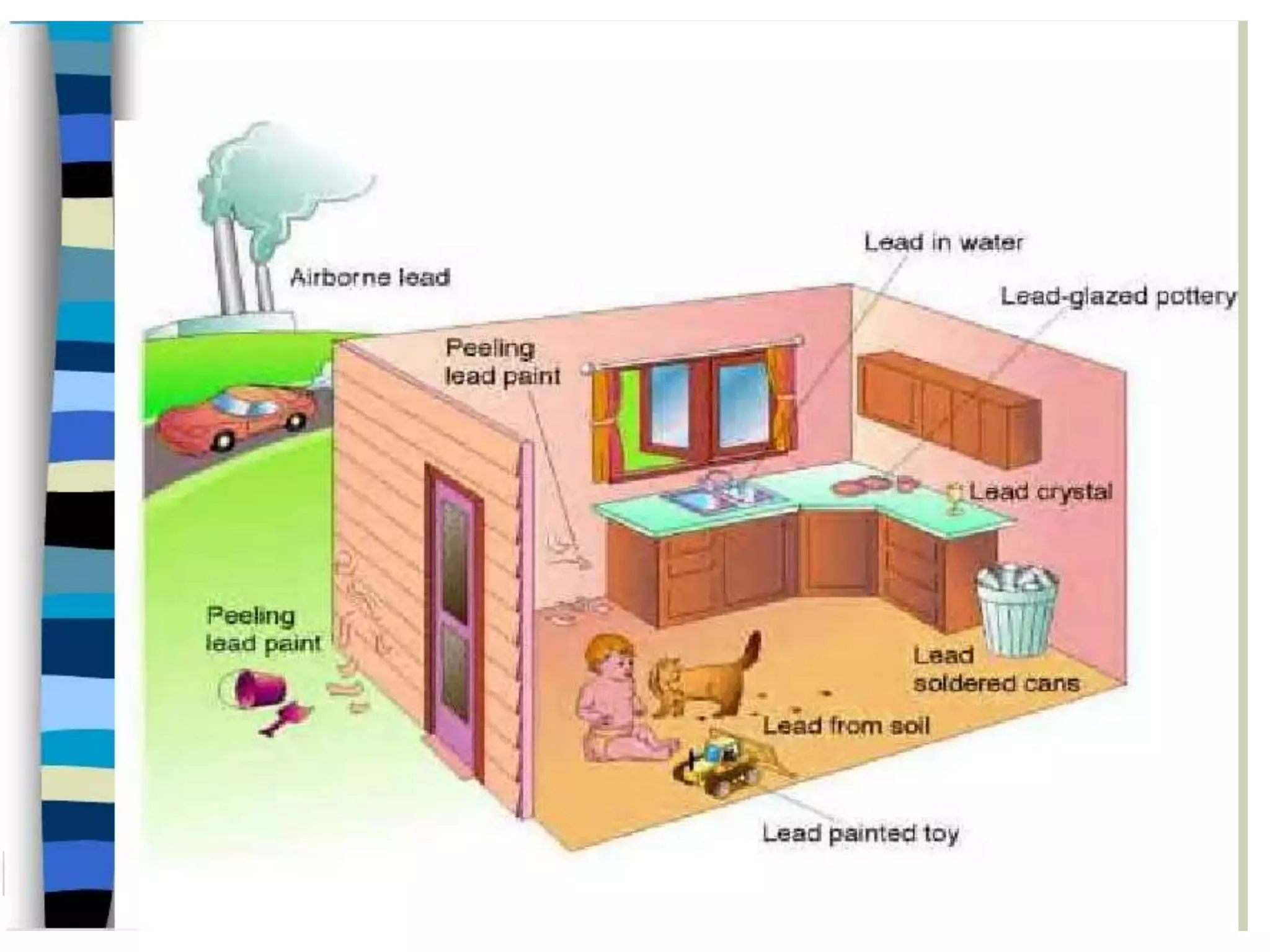Lead poisoning & its treatment | PPTX
