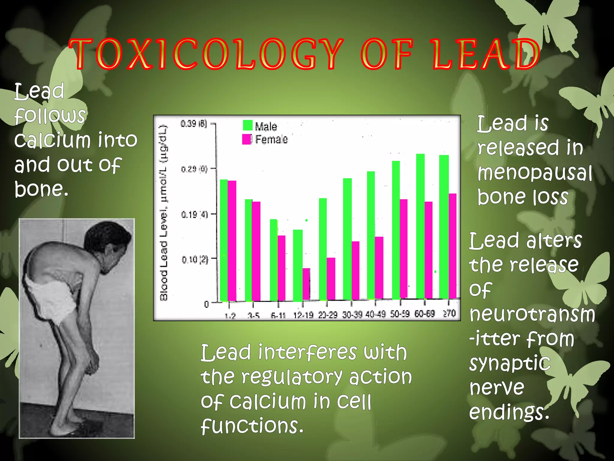 Lead pollution | PPTX