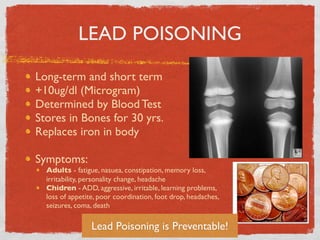 Lead in the Home | PPT