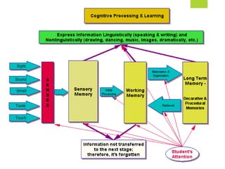 Chapter 3 - Lead Reader Power Point | PPT
