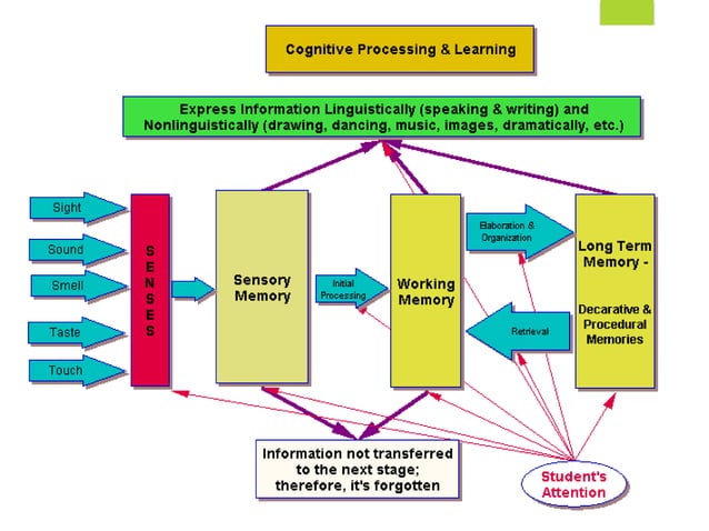 Chapter 3 - Lead Reader Power Point | PPT