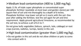 Hazardous effect of lead | PDF