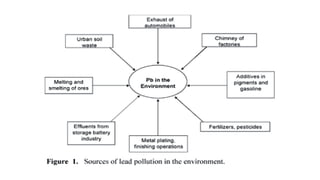 Hazardous effect of lead | PDF
