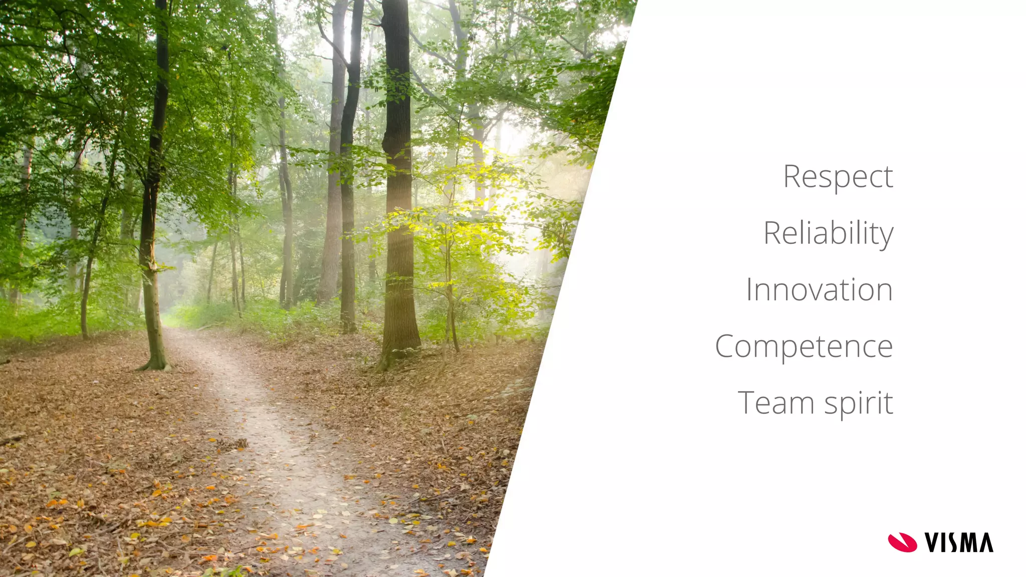 Lead scoring program Eloqua | PPT