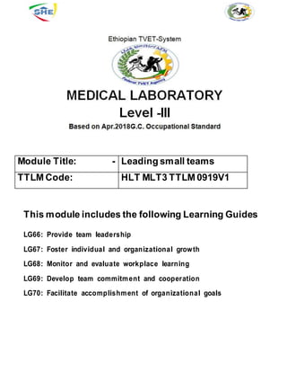 Lead Small team.docx