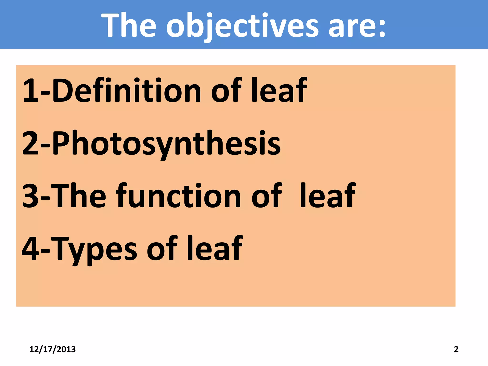 Leaf | PPTX