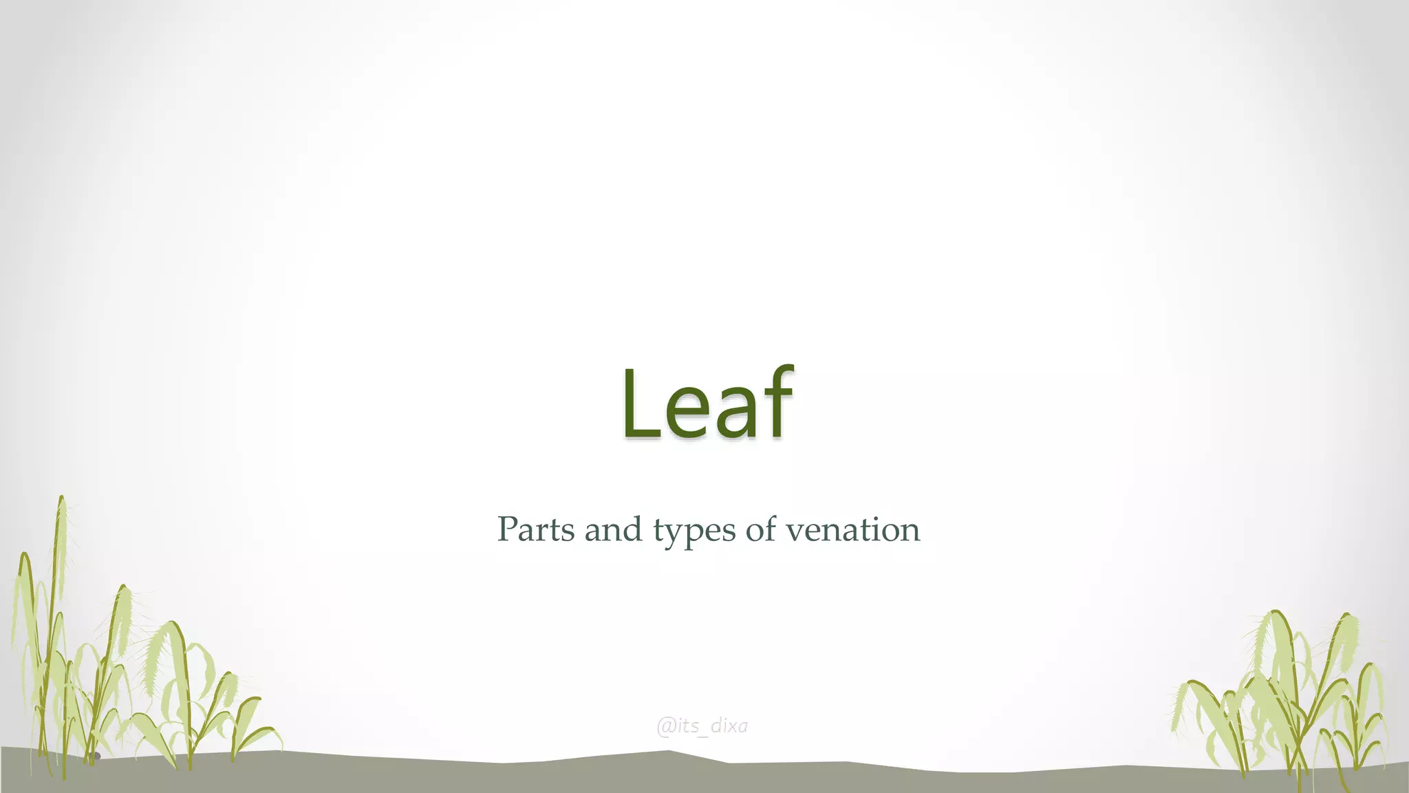 Leaf | PPTX