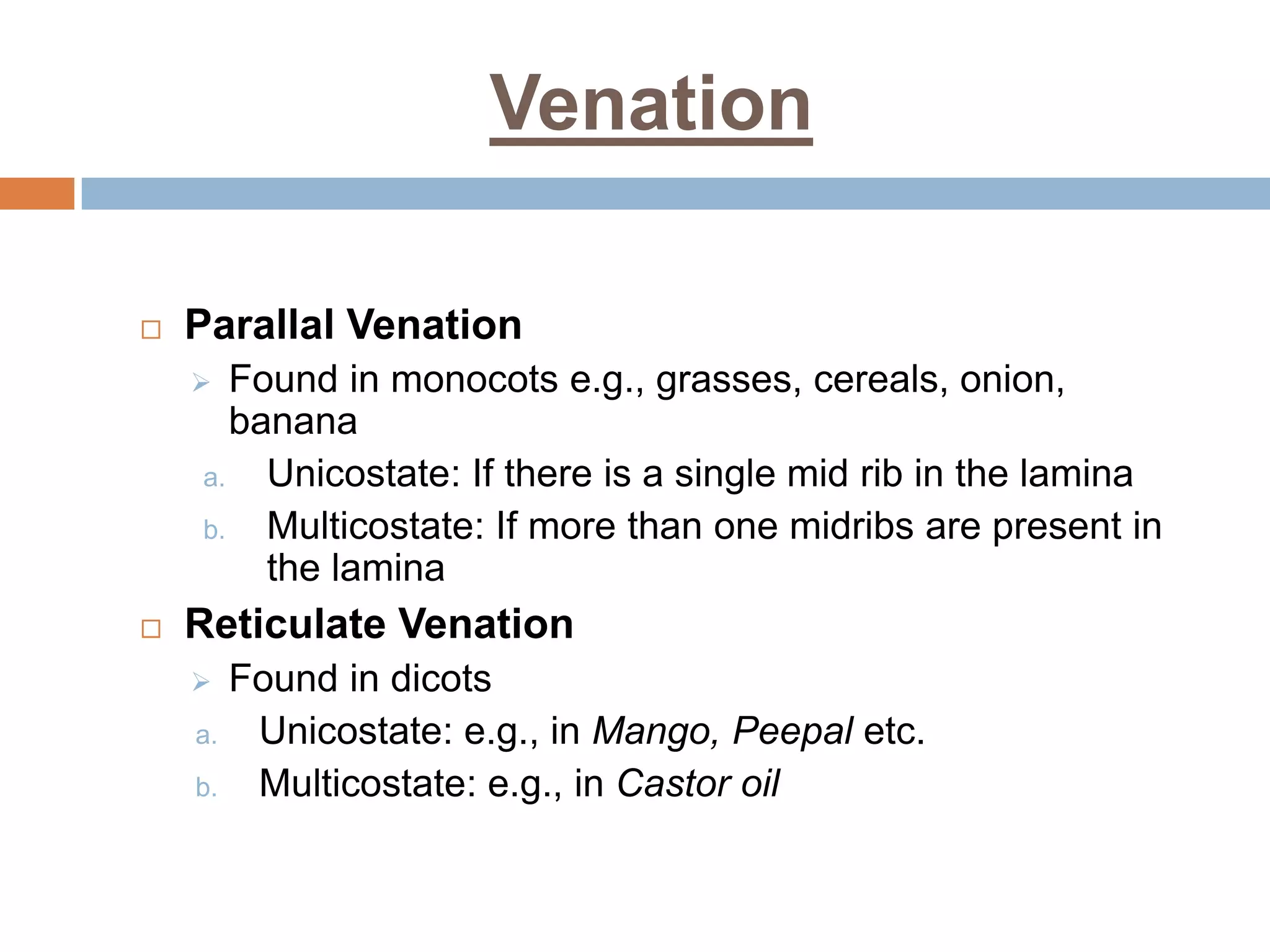 Leaf (Botany) | PPTX