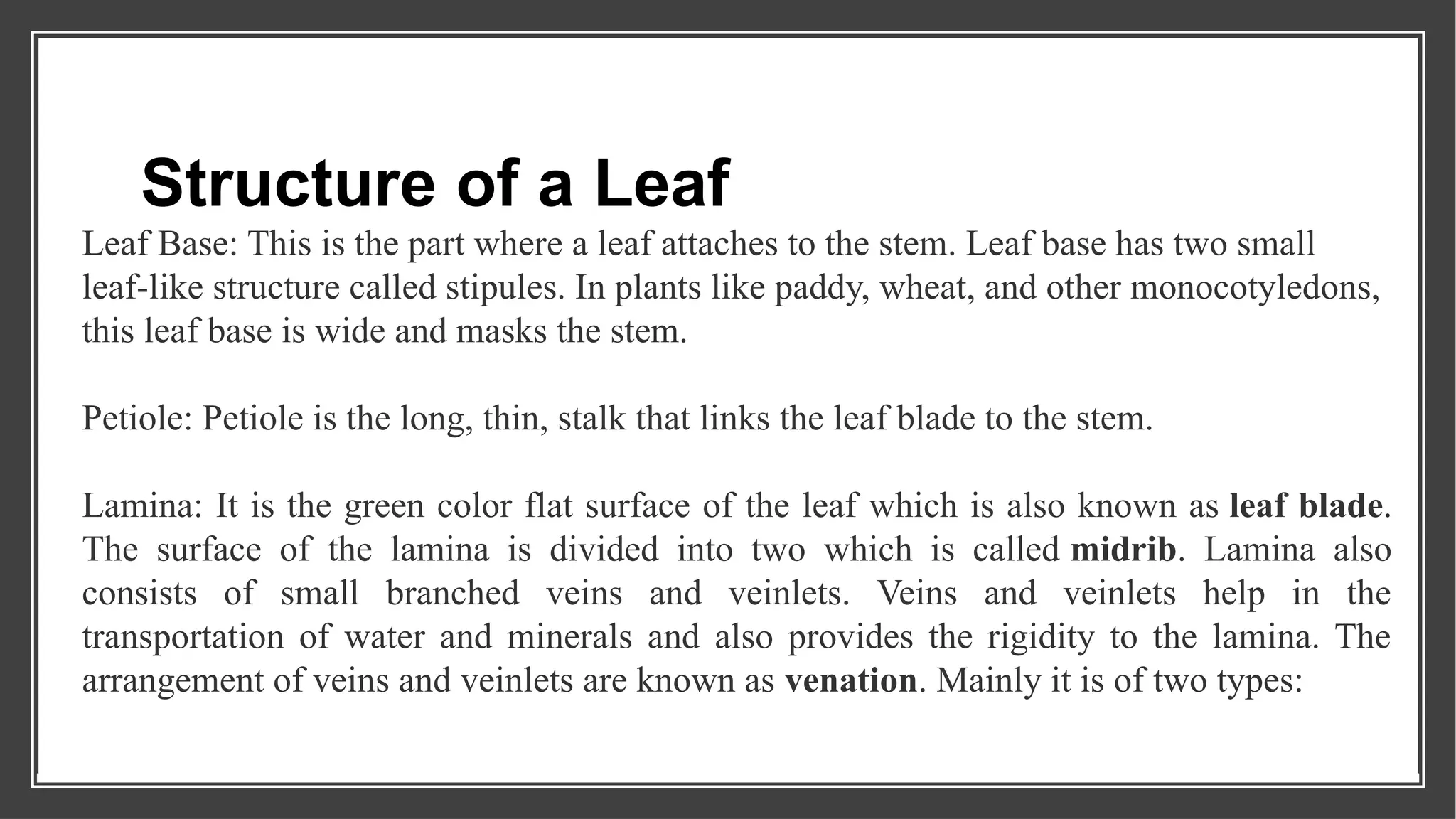MORPHOLOGY AND MODIFITION OF LEAFLeaf.pptx