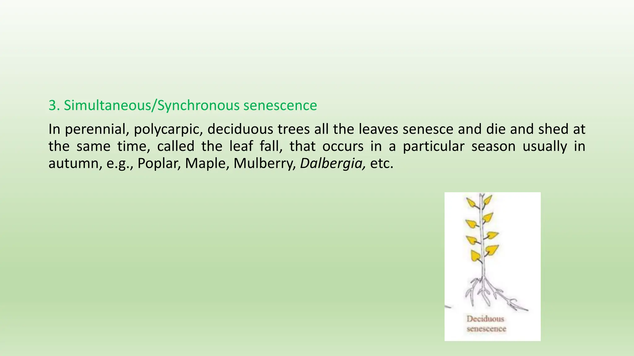 Leaf abscission and senescence.pptx