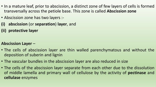 Leaf abscission and senescence.pptx
