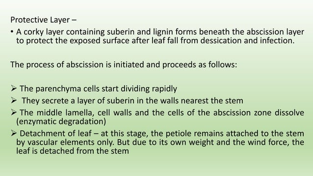 Leaf abscission and senescence.pptx