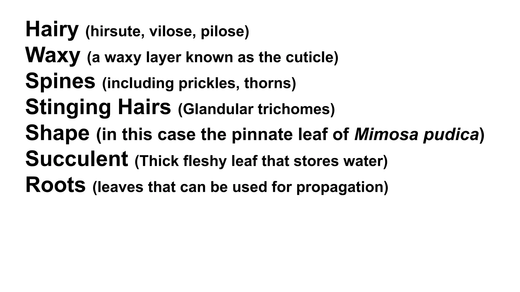 leaf adaptations: Environmental interactions and horticultural ...