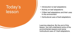 leaf adaptations: Environmental interactions and horticultural ...