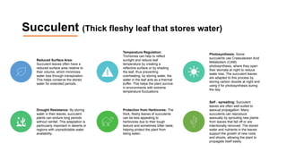 leaf adaptations: Environmental interactions and horticultural ...