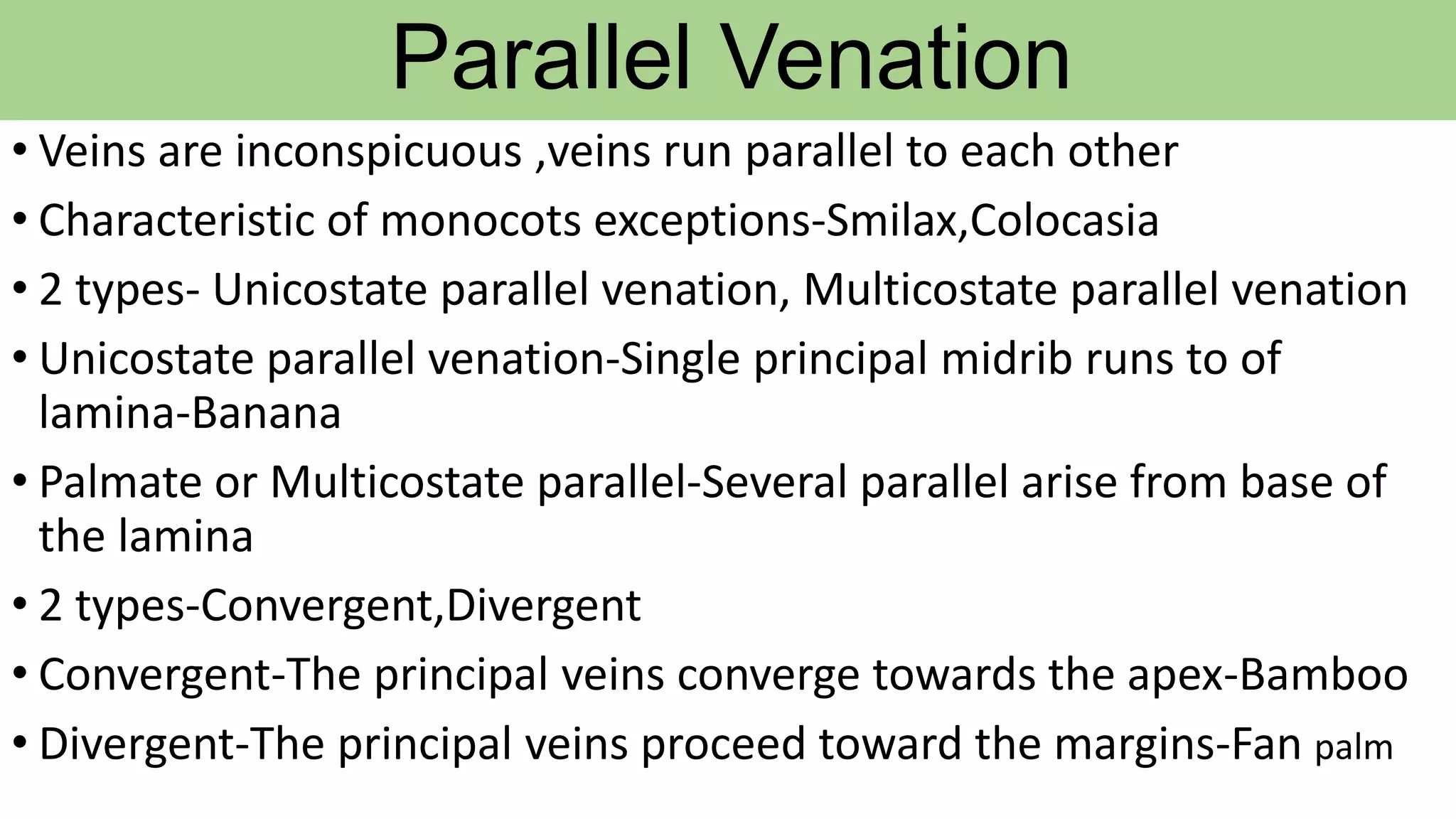 Leaf Structure | PPTX