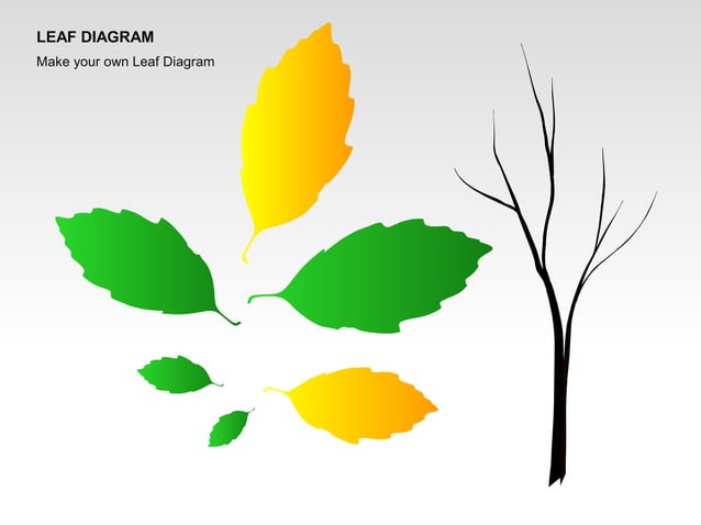Leaf Chart for PowerPoint | PPT