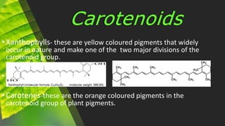 Leaf Chromatography | PPTX