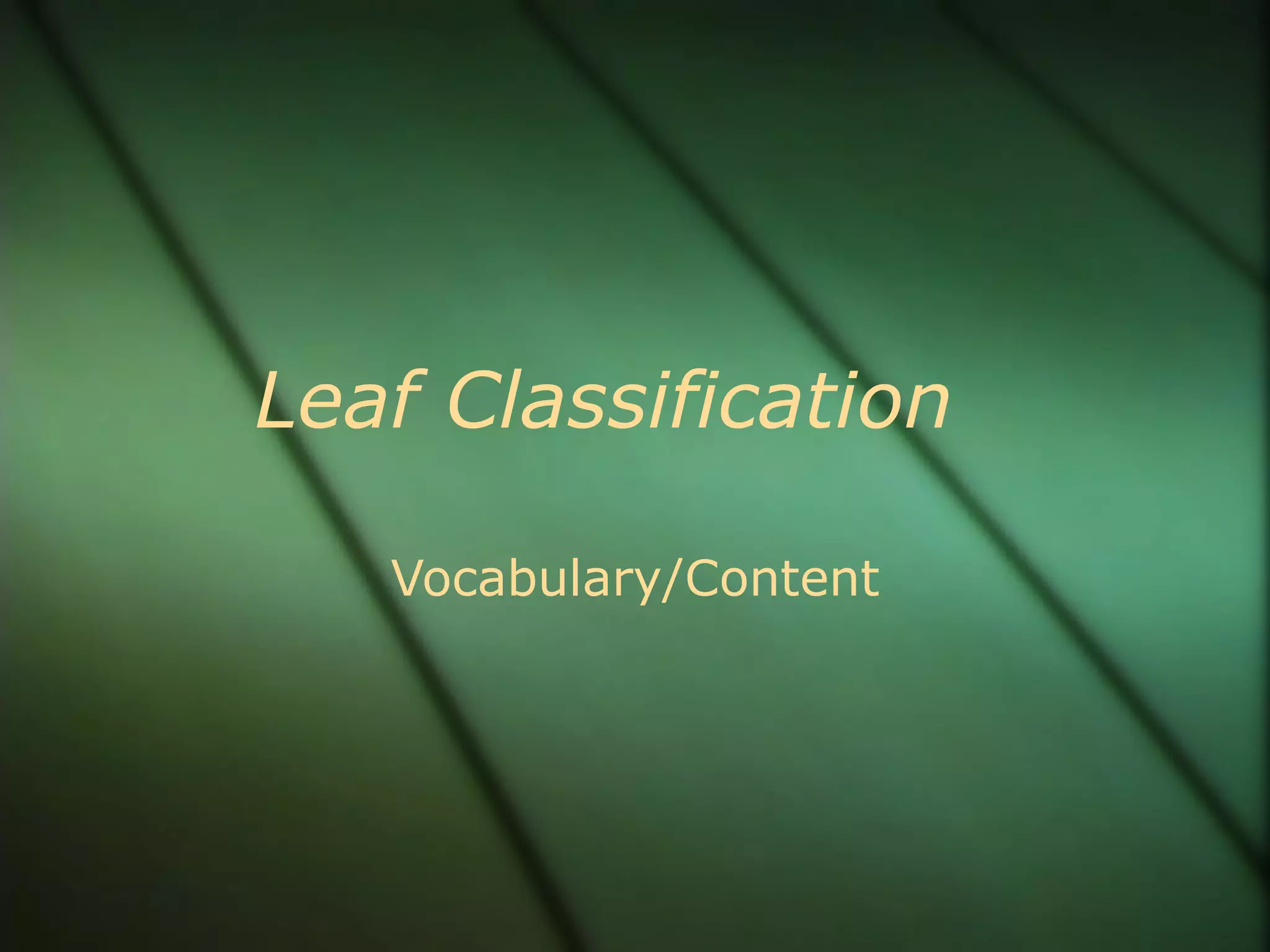 Leaf classification vocab | PPT