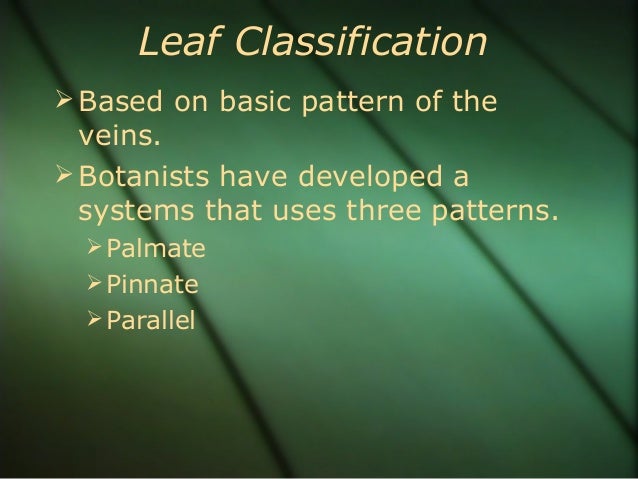 Leaf classification