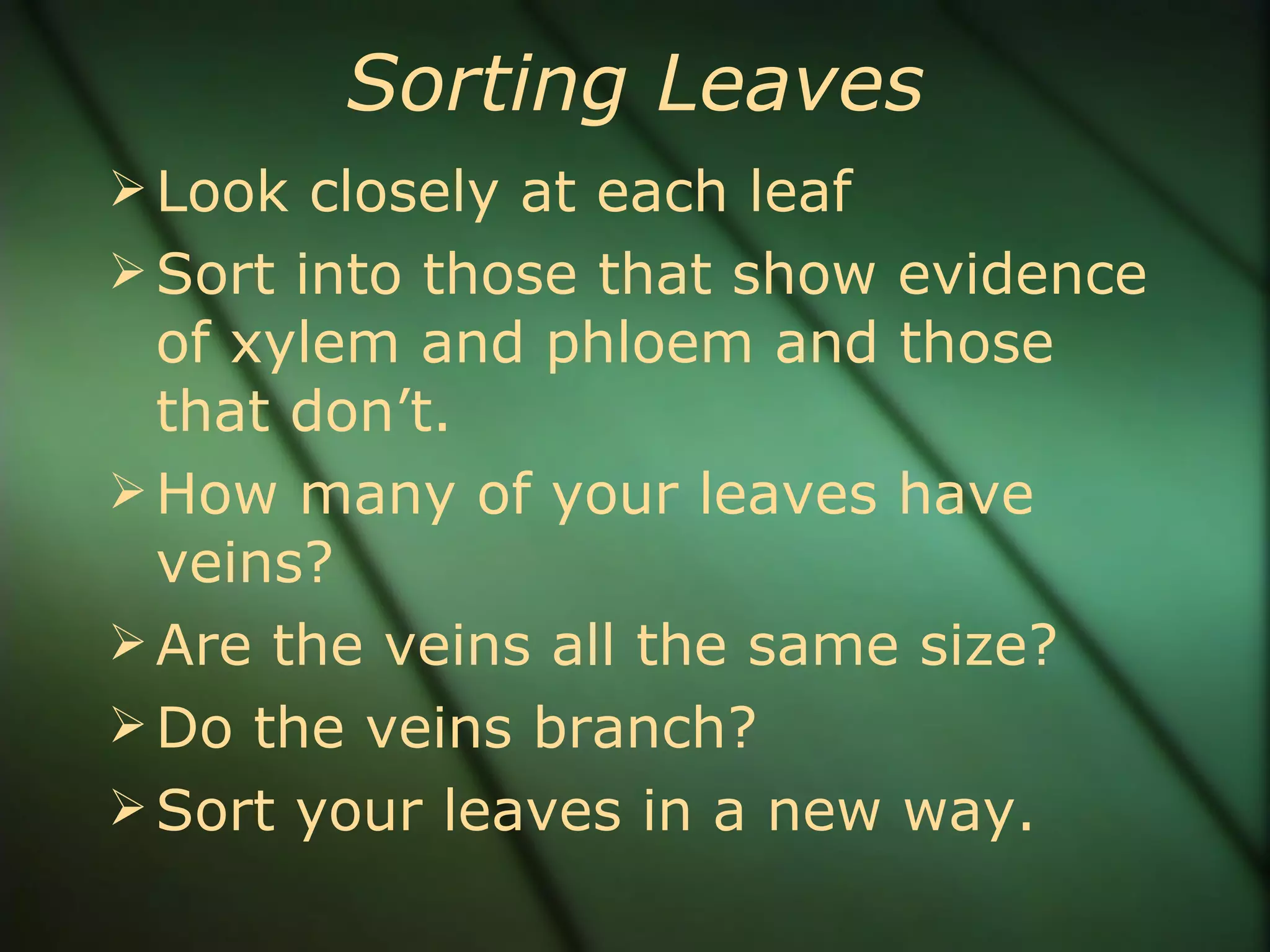 Leaf classification | PPT