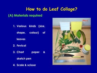 Leaf collage and vegetable imprints for creative learning of biology dr ...