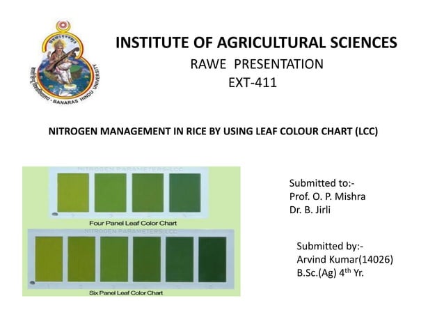 Leaf Color chart (LCC) | PPTX