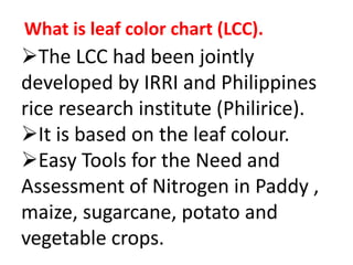 Leaf Color chart (LCC) | PPTX