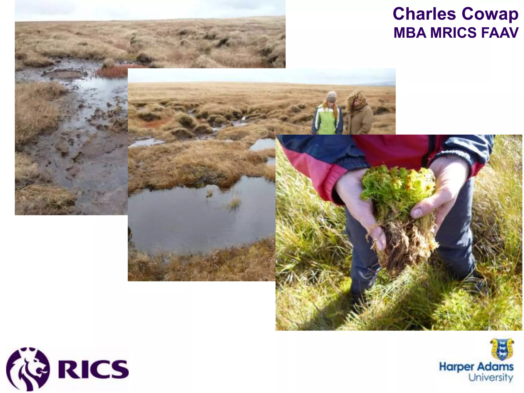 Sustainable Agriculture: show me the money: Valuing Ecosystem Services ...