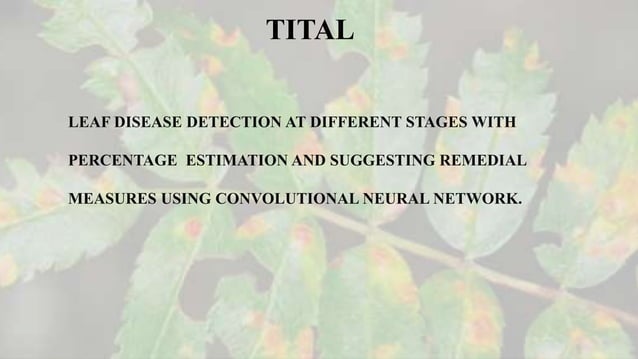 Leaf Disease Detection at Different Stages with Percentage estimation and Suggesting Remedial ...