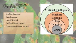 Leaf Disease Detection at Different Stages with Percentage estimation ...