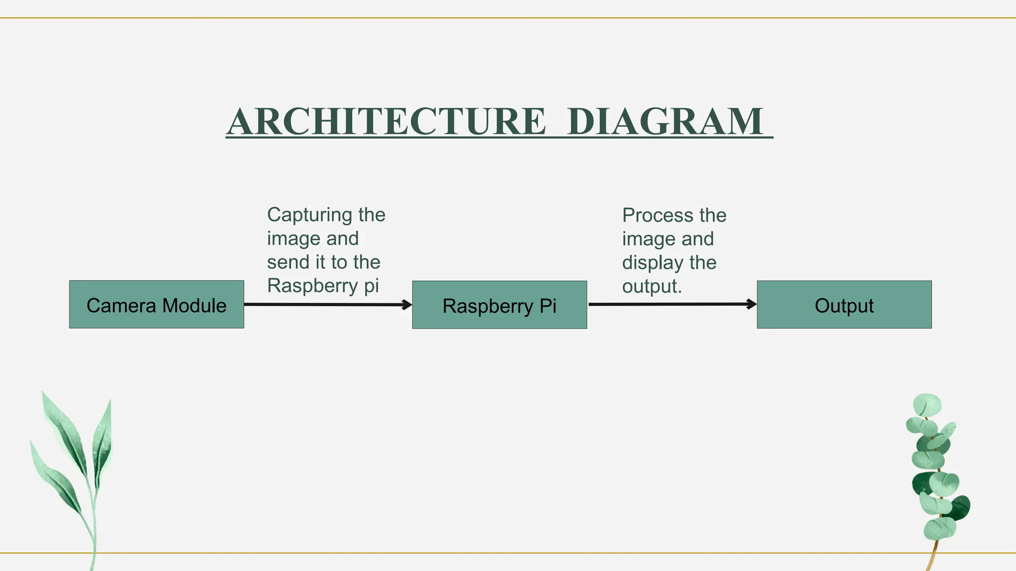 Leaf Disease Detection Using Raspberry Pi Pptx
