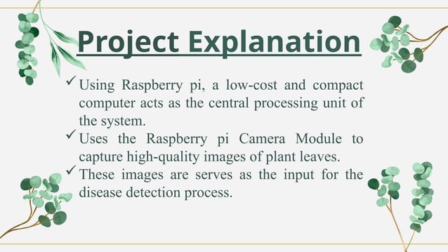 Leaf Disease Detection using Raspberry Pi.pptx