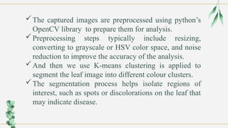Leaf Disease Detection using Raspberry Pi.pptx