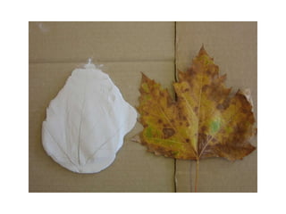 Leaf Impressions and Expressions | PPTX