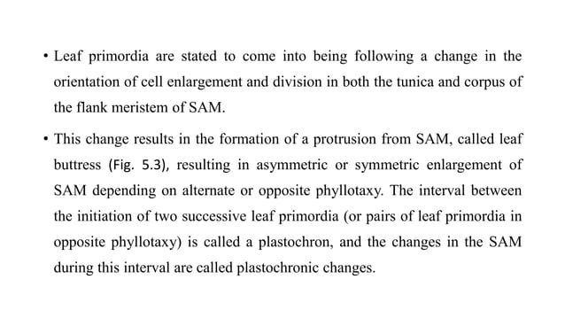 Leaf Initiation, Growth and Differentiation.pdf | Gardening | Home & Garden